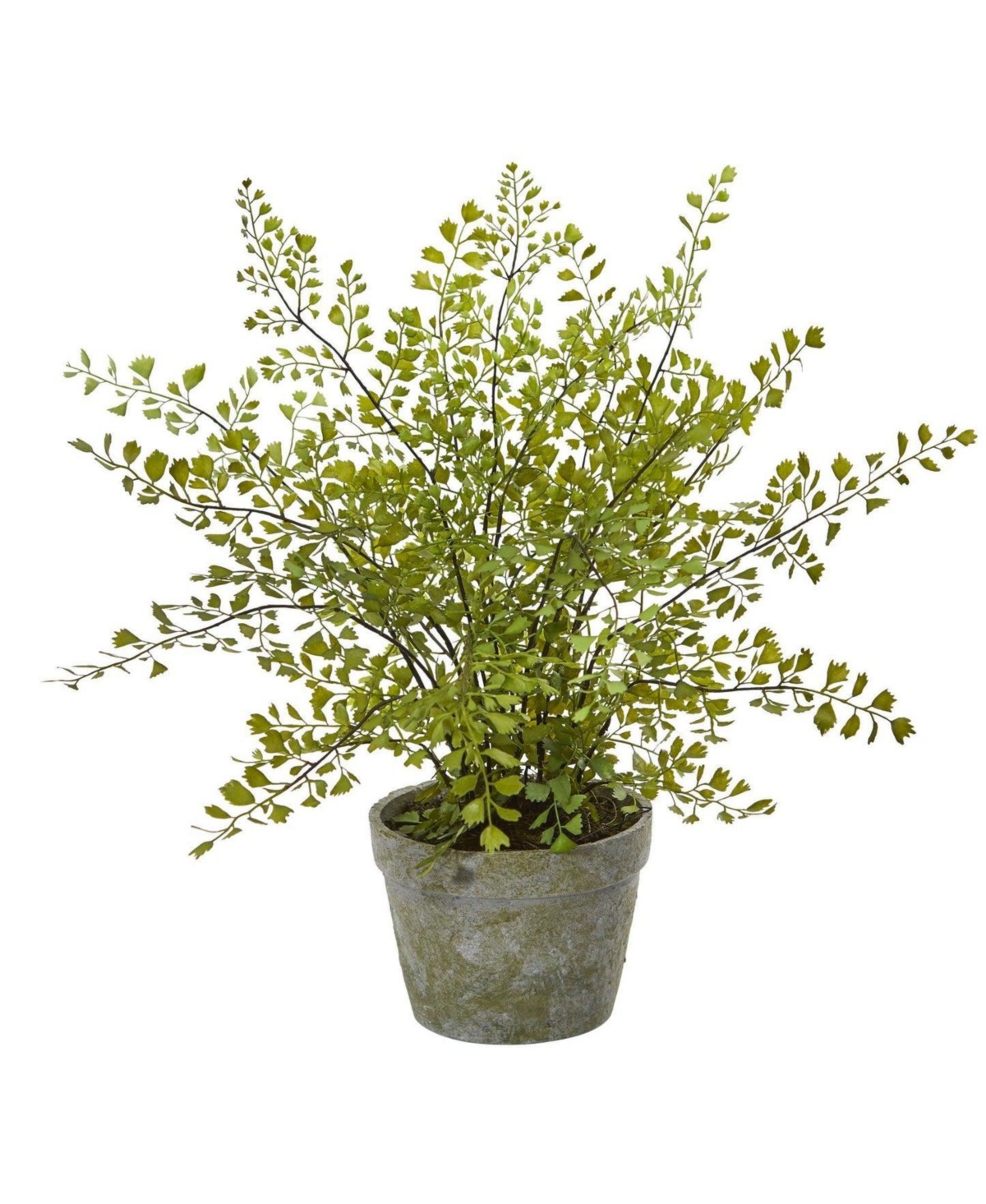 Click here for Slickblue 13 Maiden Hair Artificial Plant in Decor... prices