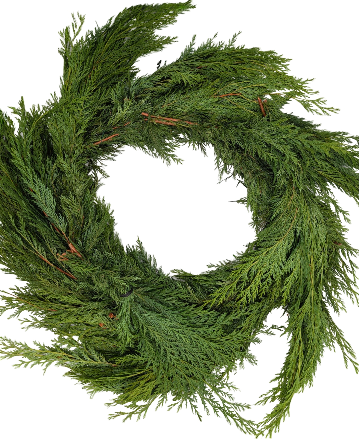 Click here for International Christmas Innovation Fresh Premier C... prices
