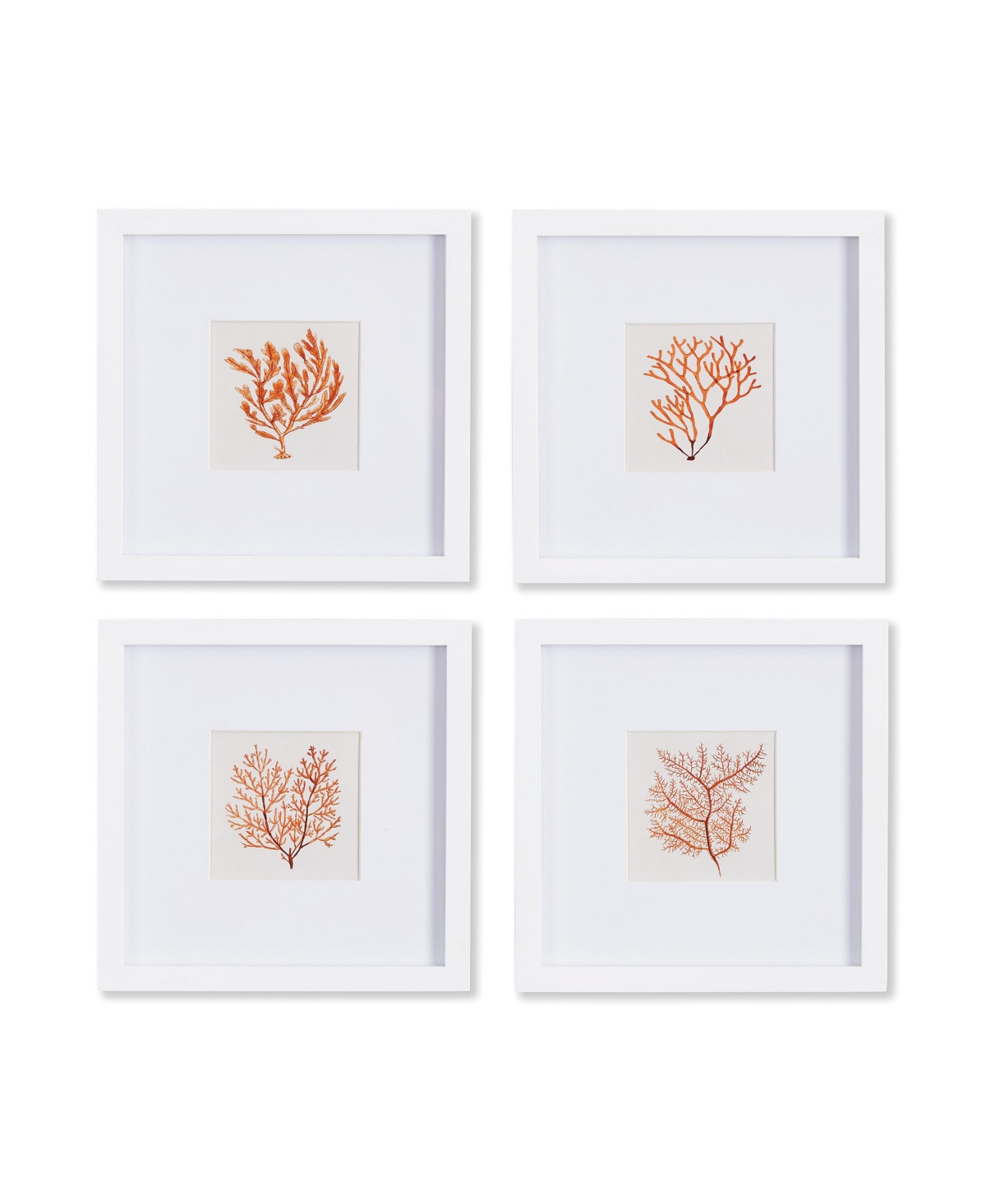Click here for Branch Coral Petite Prints Set of 4 - Pink prices