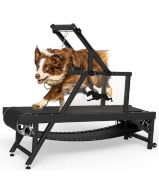 ER KANG Dog Treadmill for Large/Medium Dogs, Doggy Treadmill with Brake ...