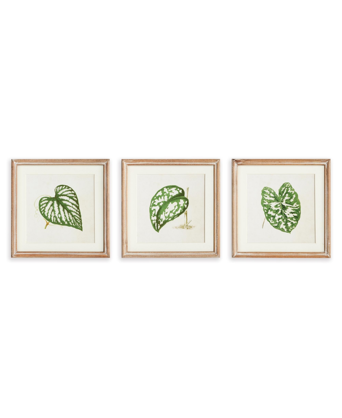Click here for Leaf Cuttings Petite Prints  Set Of 3 prices