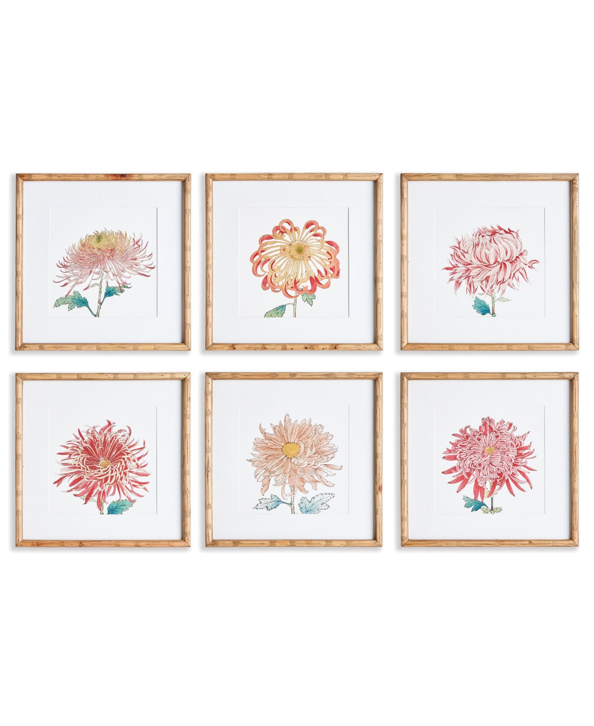 Click here for Colorful Chrysanthemum Prints St/6 - Pink prices