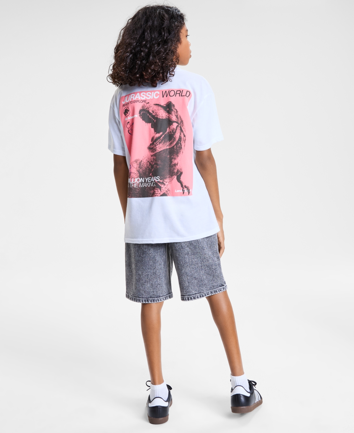 Click here for Jurassic Park Little and Big Boys Short Sleeve T-S... prices
