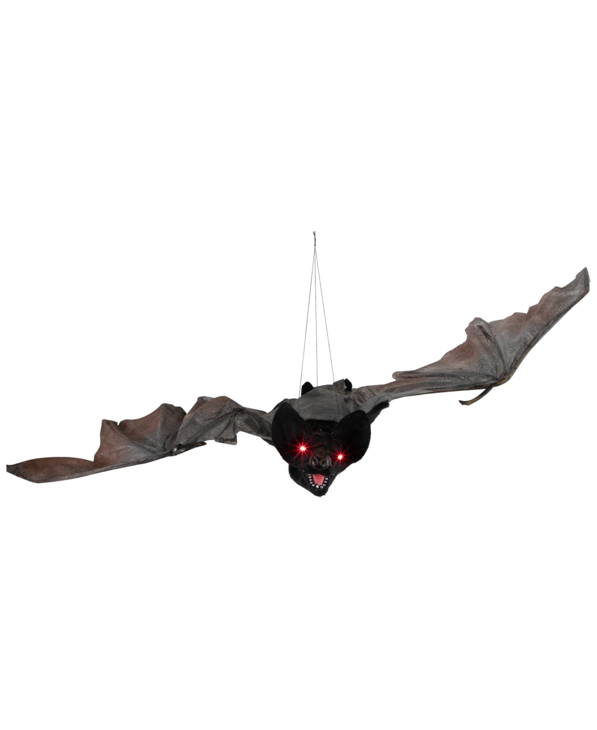 Click here for Northlight 48 Led Lighted and Animated Halloween B... prices