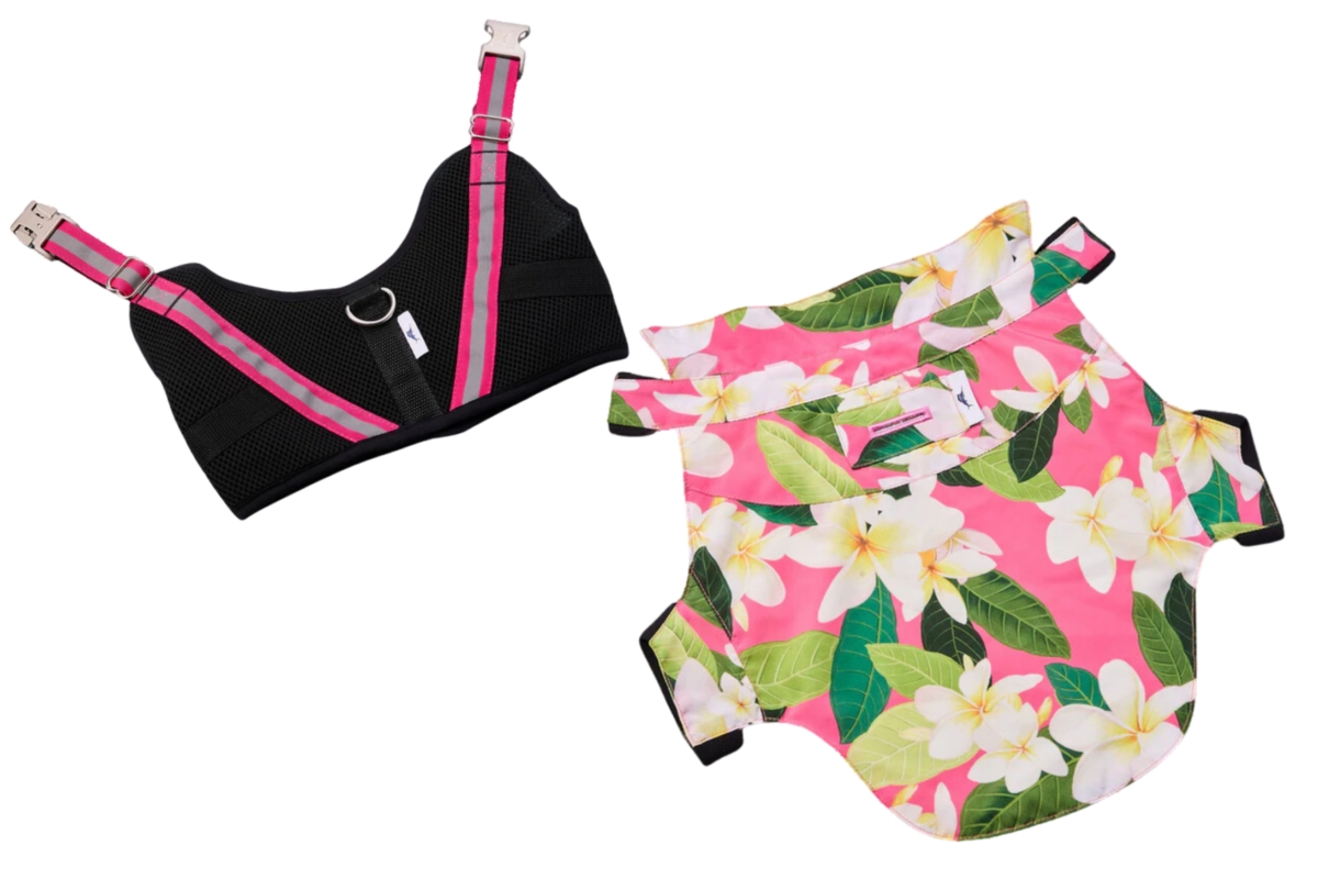 Click here for Tommy Bahama Pet Hawaiian Shirt & Apparel Harness... prices