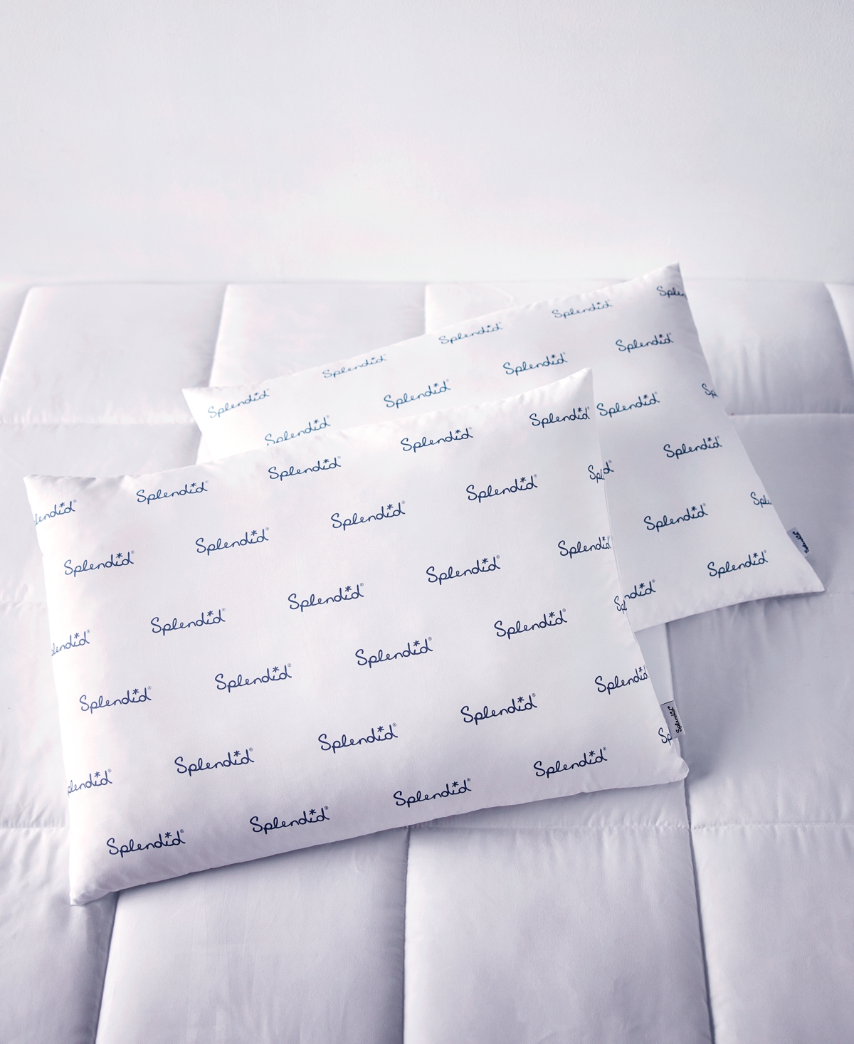 Click here for Splendid Medium Density 2-Pack Pillows  Standard -... prices