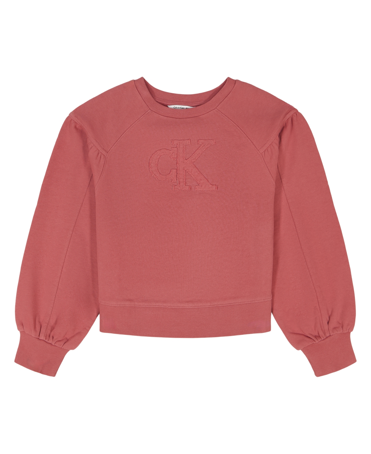 Click here for Calvin Klein Girls 7-16 Crewneck Raglan Sleeve Swe... prices