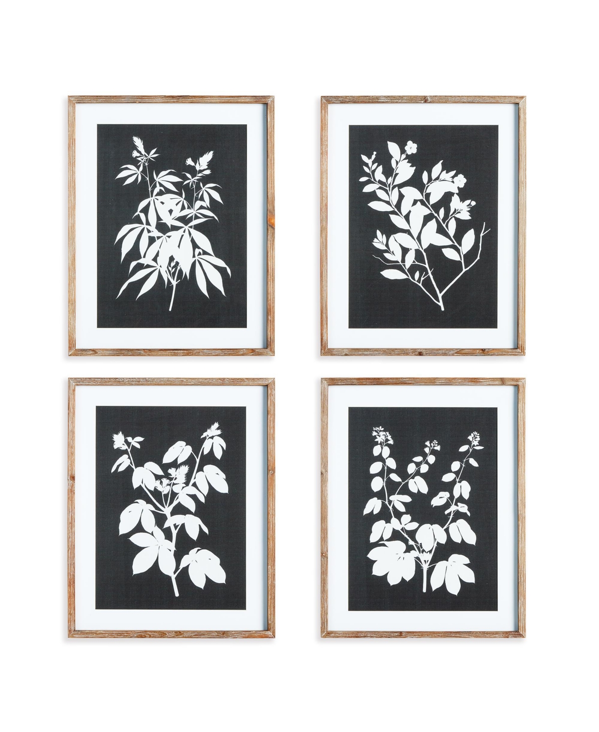 Click here for Monochrome Botanical Prints Set of 4 - Black prices