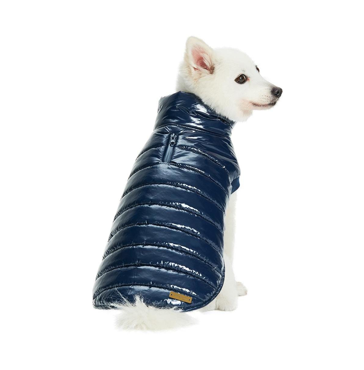 Click here for Blueberry Pet GlossPaws Lightweight Quilted Dog Pu... prices