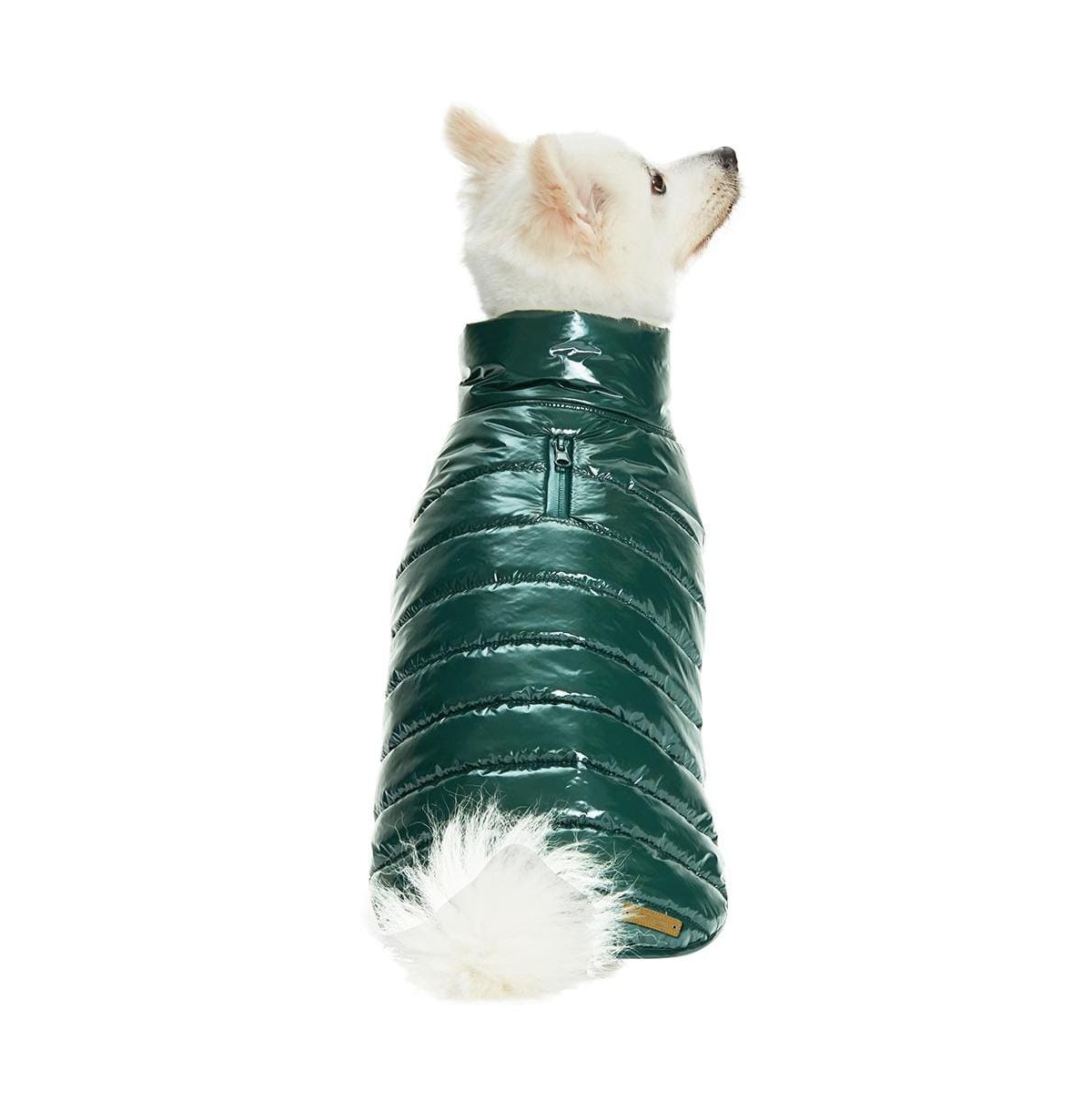 Click here for Blueberry Pet GlossPaws Lightweight Quilted Dog Pu... prices