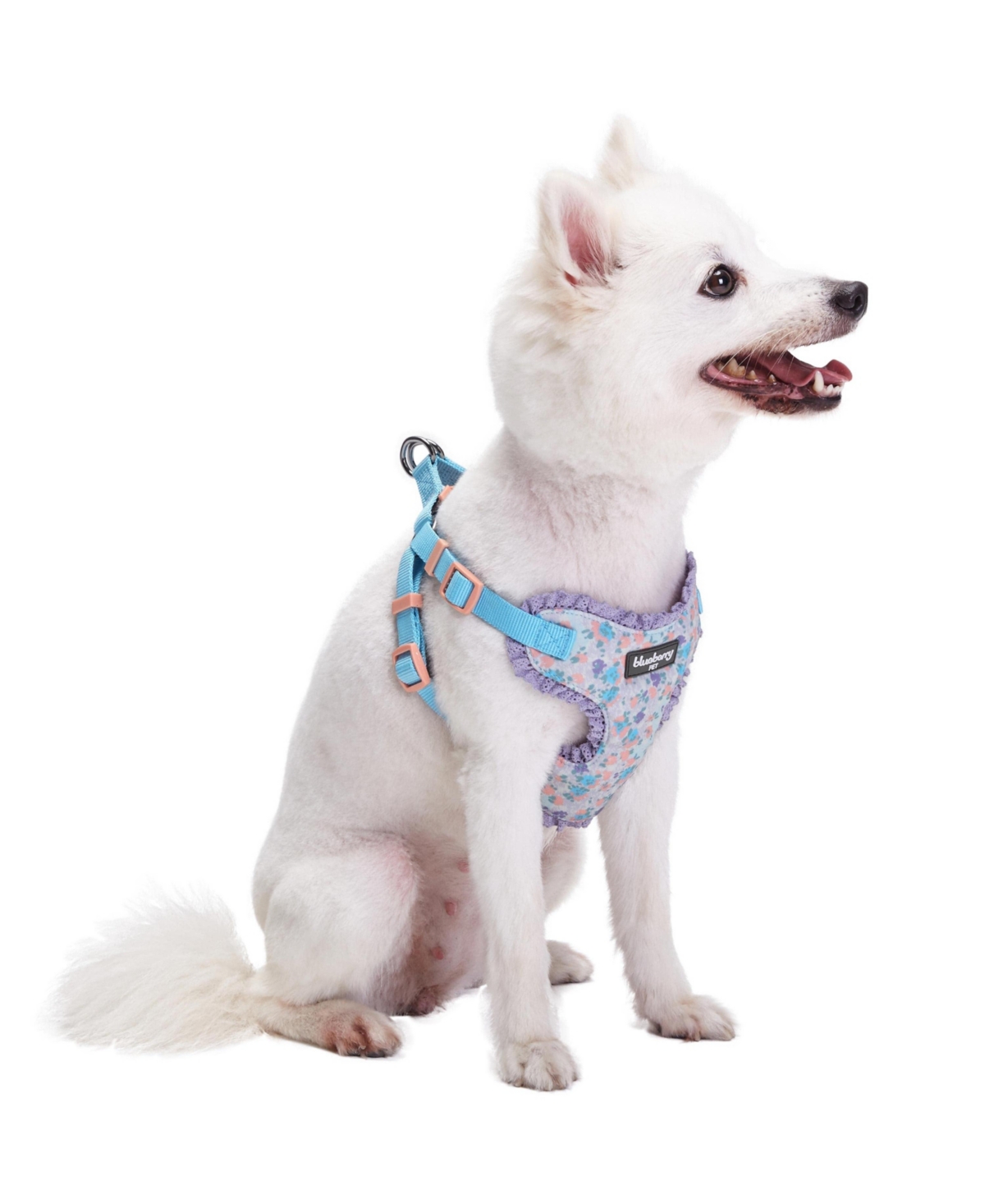 Click here for Blueberry Pet Made Well Floral Print Dog Harness V... prices