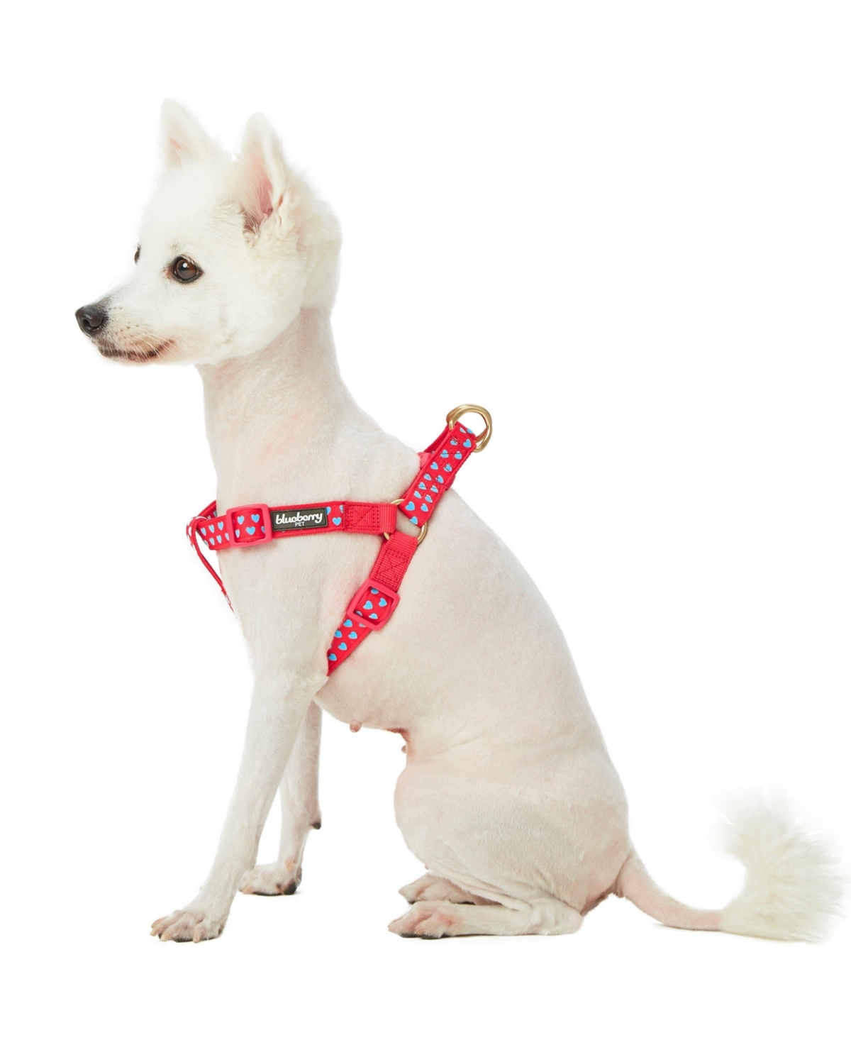 Click here for Blueberry Pet Velvety Polka Dot Dog Step-in Harnes... prices