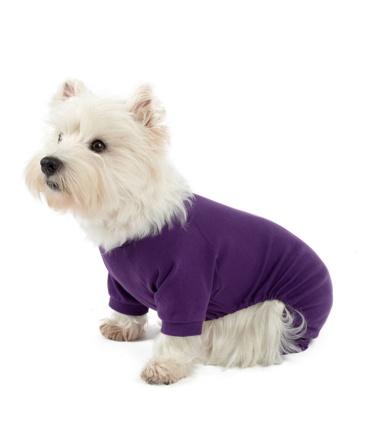 Click here for Leveret Dog Cotton Solid Pajamas - Dark Purple prices
