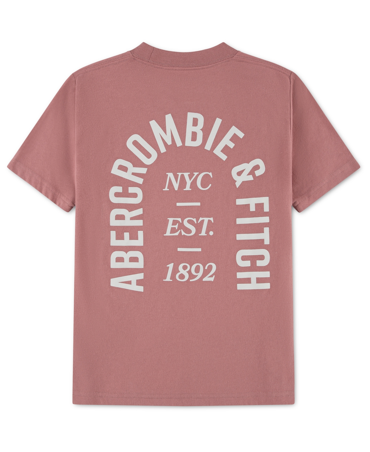 Click here for abercrombie kids Boys Crewneck Nyc Est 1892 Logo T... prices