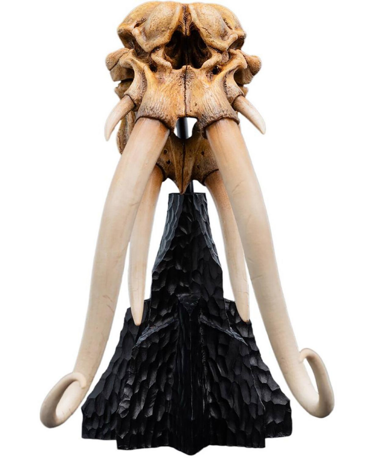 Click here for Weta Workshop Polystone - The Lord of the Rings Tr... prices