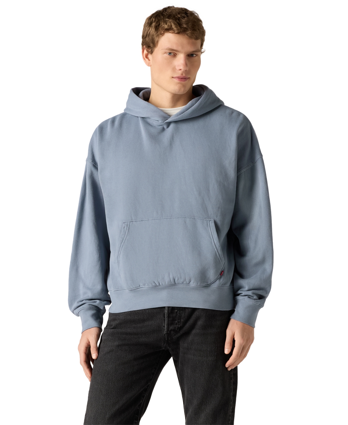 Click here for Levis Mens Premium Boxy Hoodie Sweatshirt - Tropos... prices