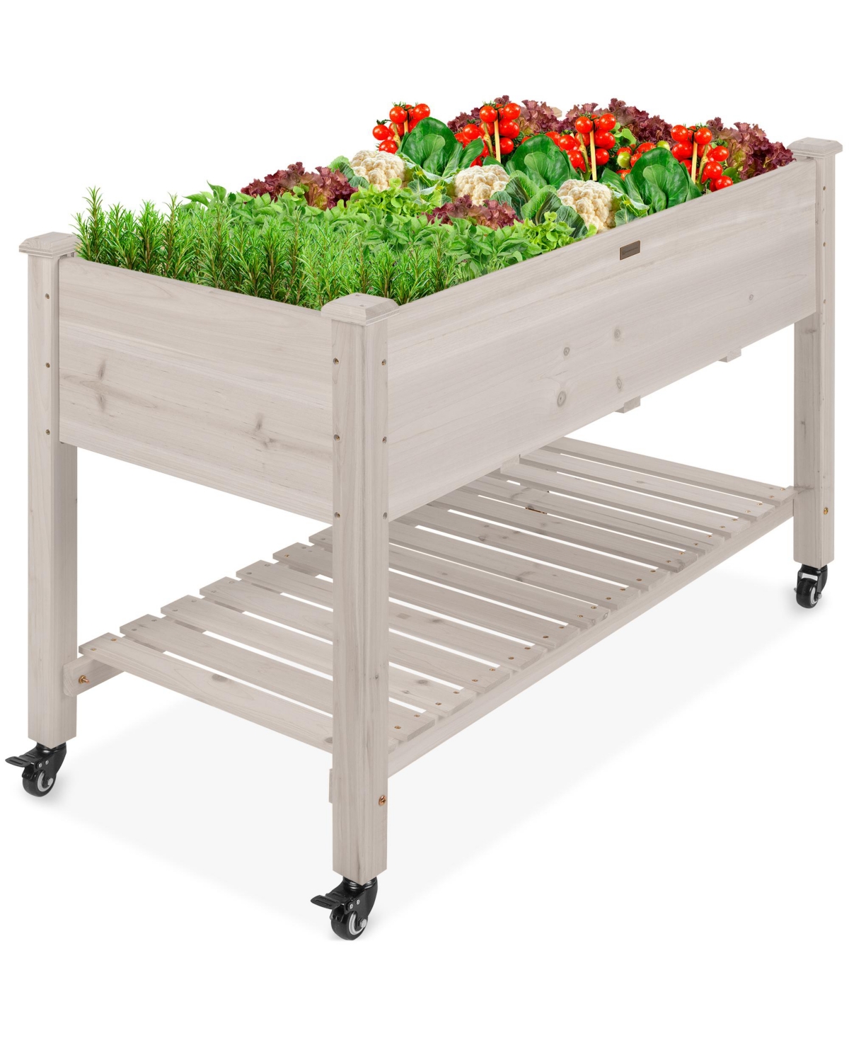 Click here for Best Choice Products Raised Garden Bed 48x23x32in... prices