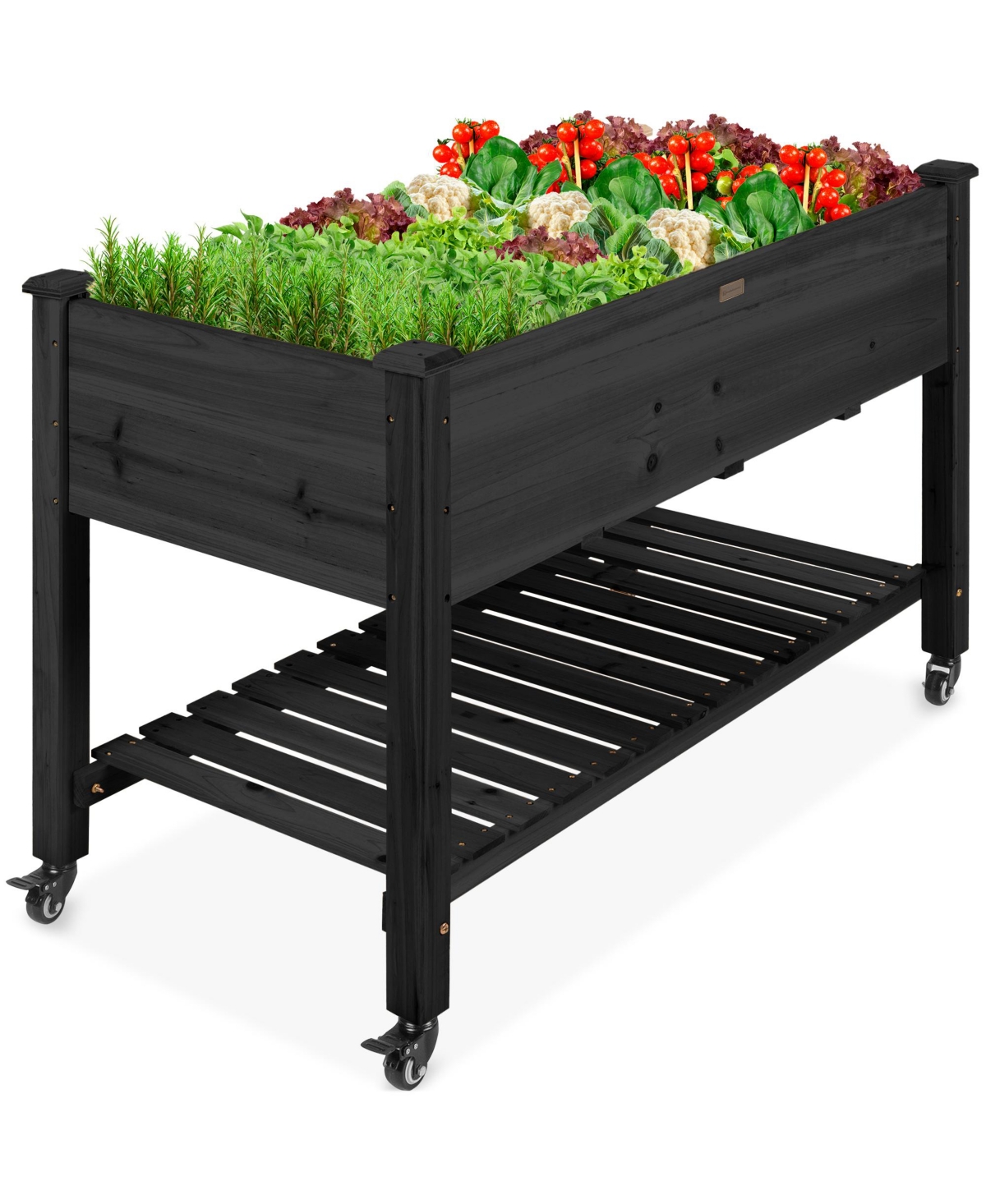 Click here for Best Choice Products Raised Garden Bed 48x23x32in... prices