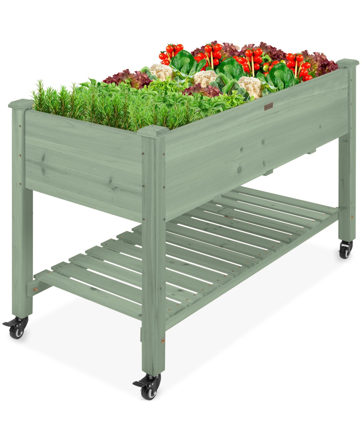 Click here for Best Choice Products Raised Garden Bed 48x23x32in... prices