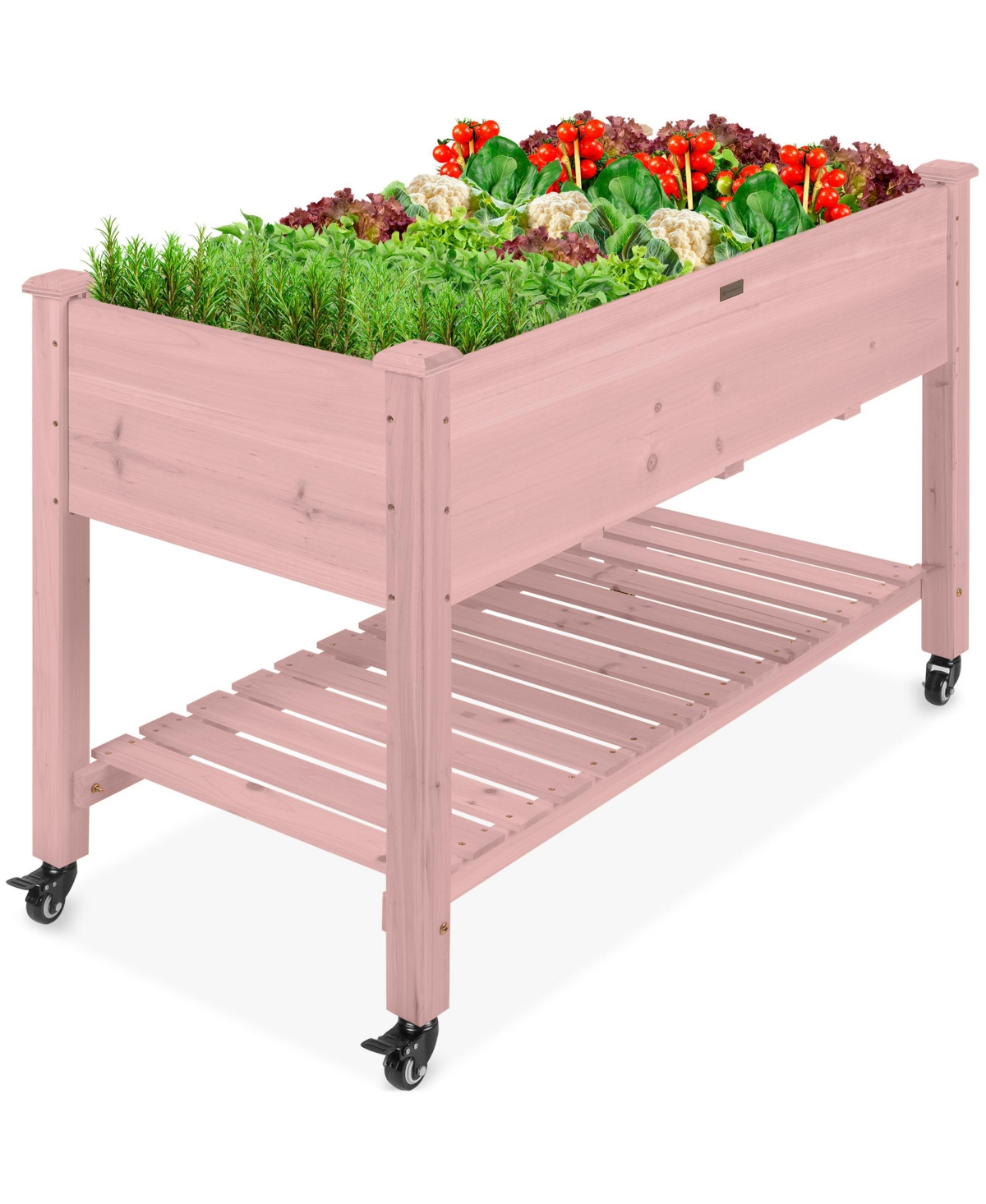 Click here for Best Choice Products Raised Garden Bed 48x23x32in... prices