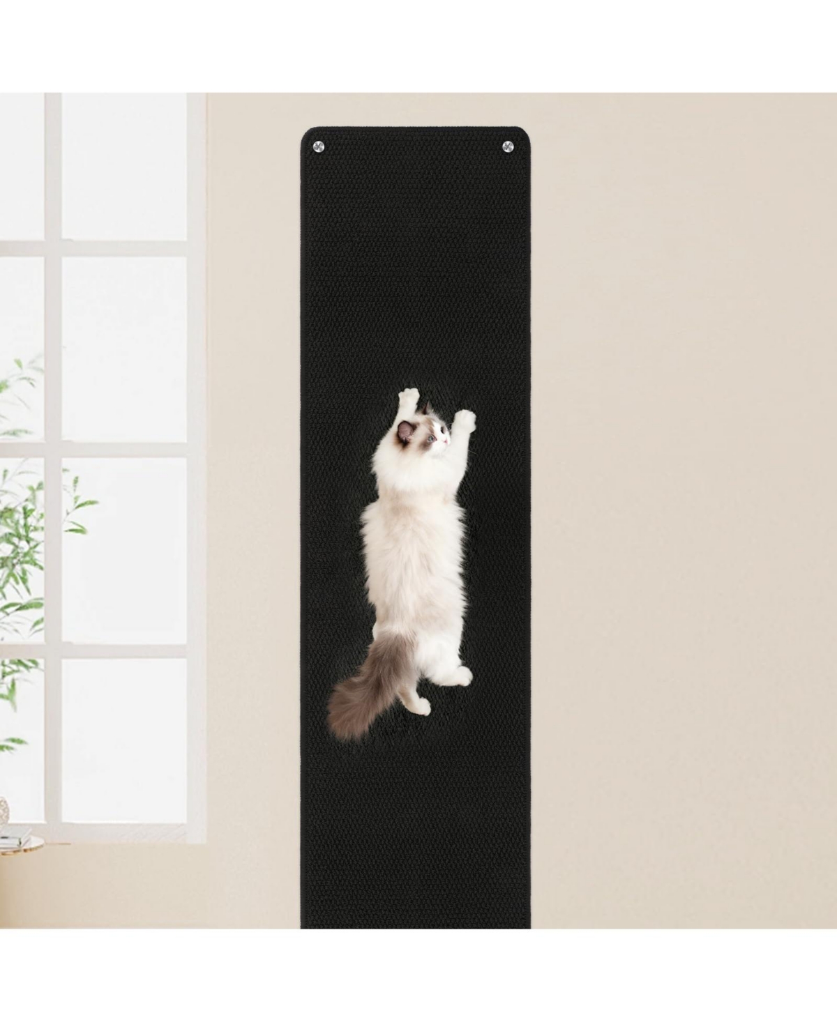 Click here for Aronkl Extra Large Thickened Cat Wall Climbing Car... prices