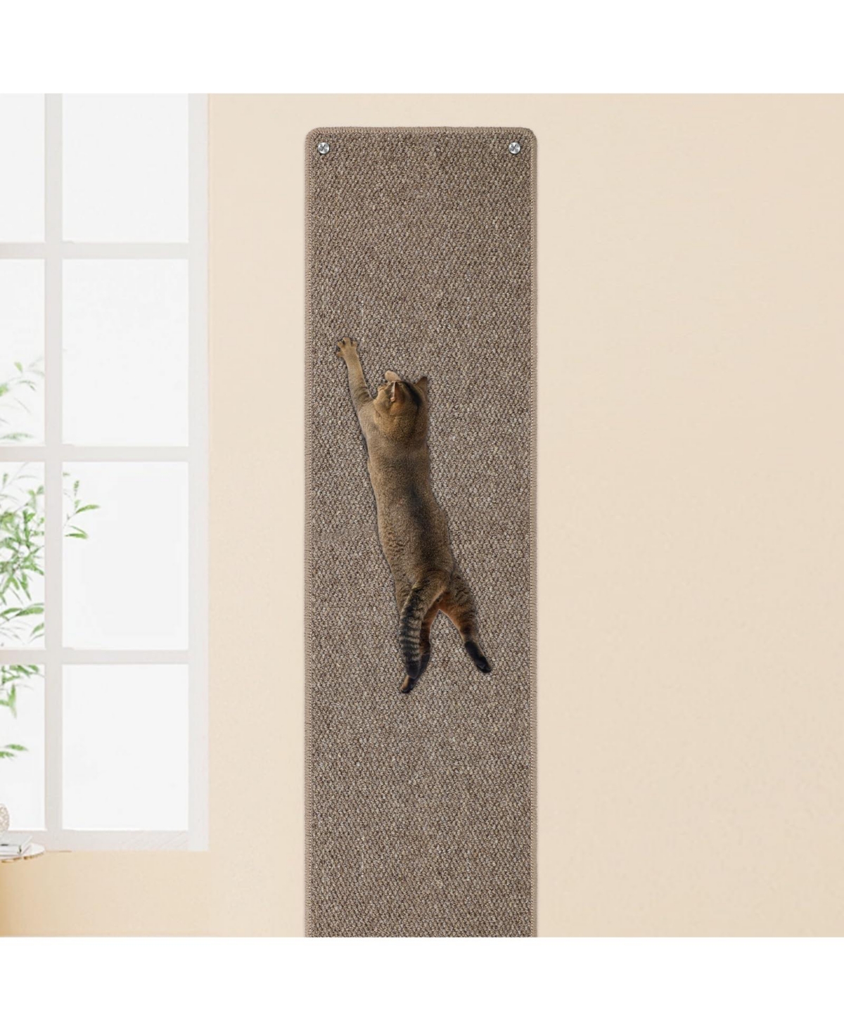 Click here for Aronkl Extra Large Thickened Cat Wall Climbing Car... prices
