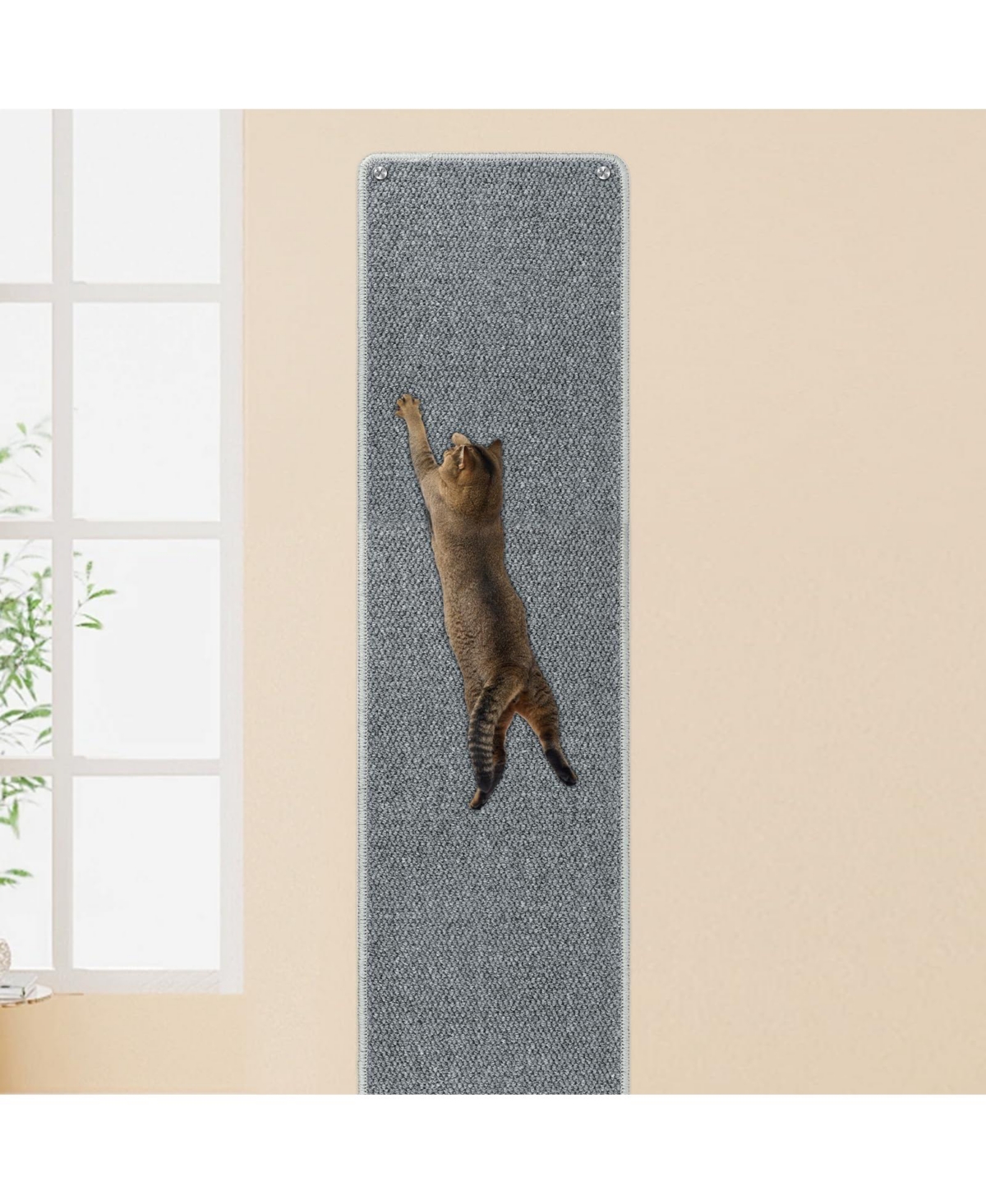 Click here for Aronkl Extra Large Thickened Cat Wall Climbing Car... prices
