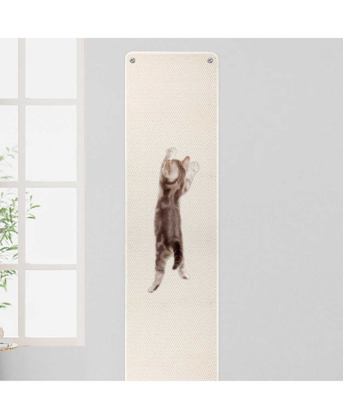 Click here for Aronkl Extra Large Thickened Cat Wall Climbing Car... prices