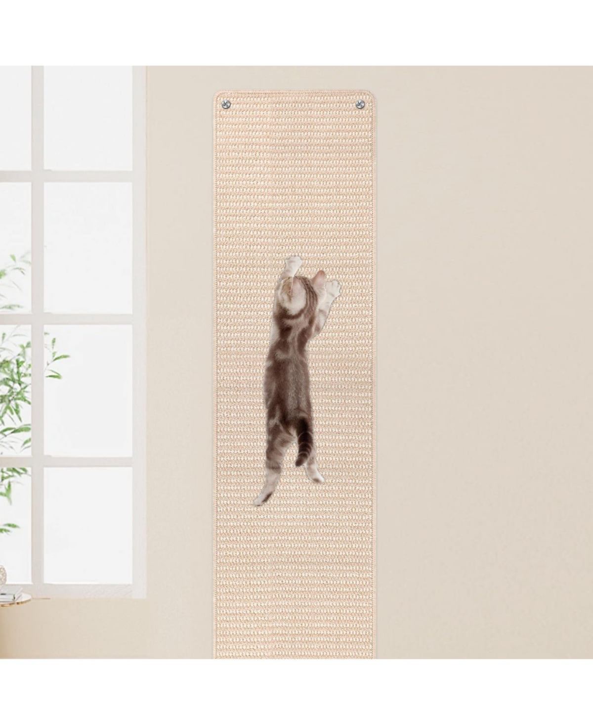Click here for Aronkl Extra Large Thickened Cat Wall Climbing Car... prices