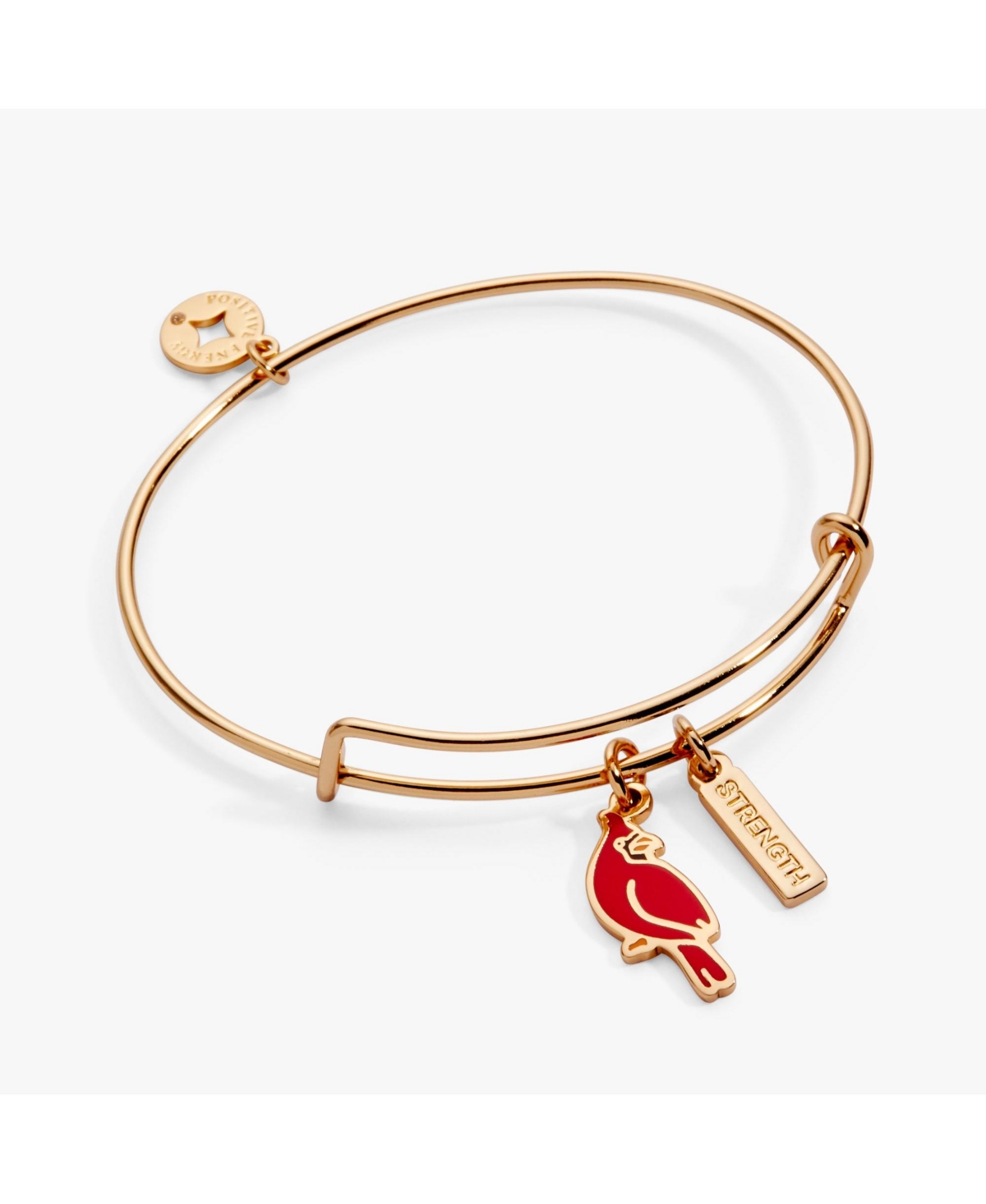 Click here for Alex and Ani Strength Cardinal Duo Charm Bangle Br... prices