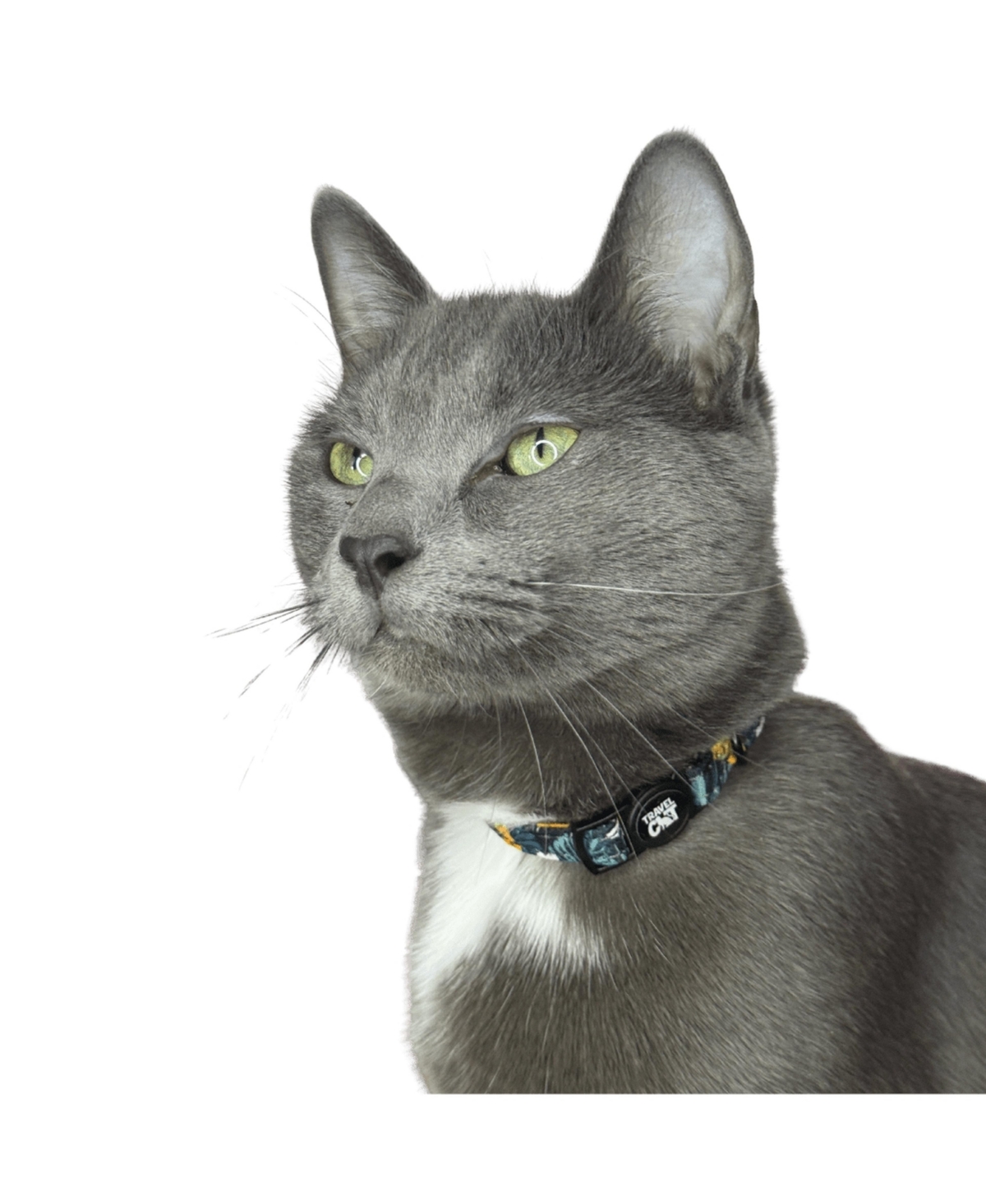 Click here for Travel Cat Breakaway Cat Collar - Green multi prices