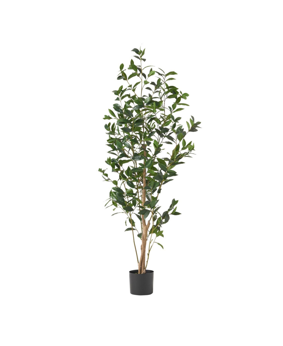 Click here for Streamdale Furniture Artificial Plant - 64 Tall Pr... prices