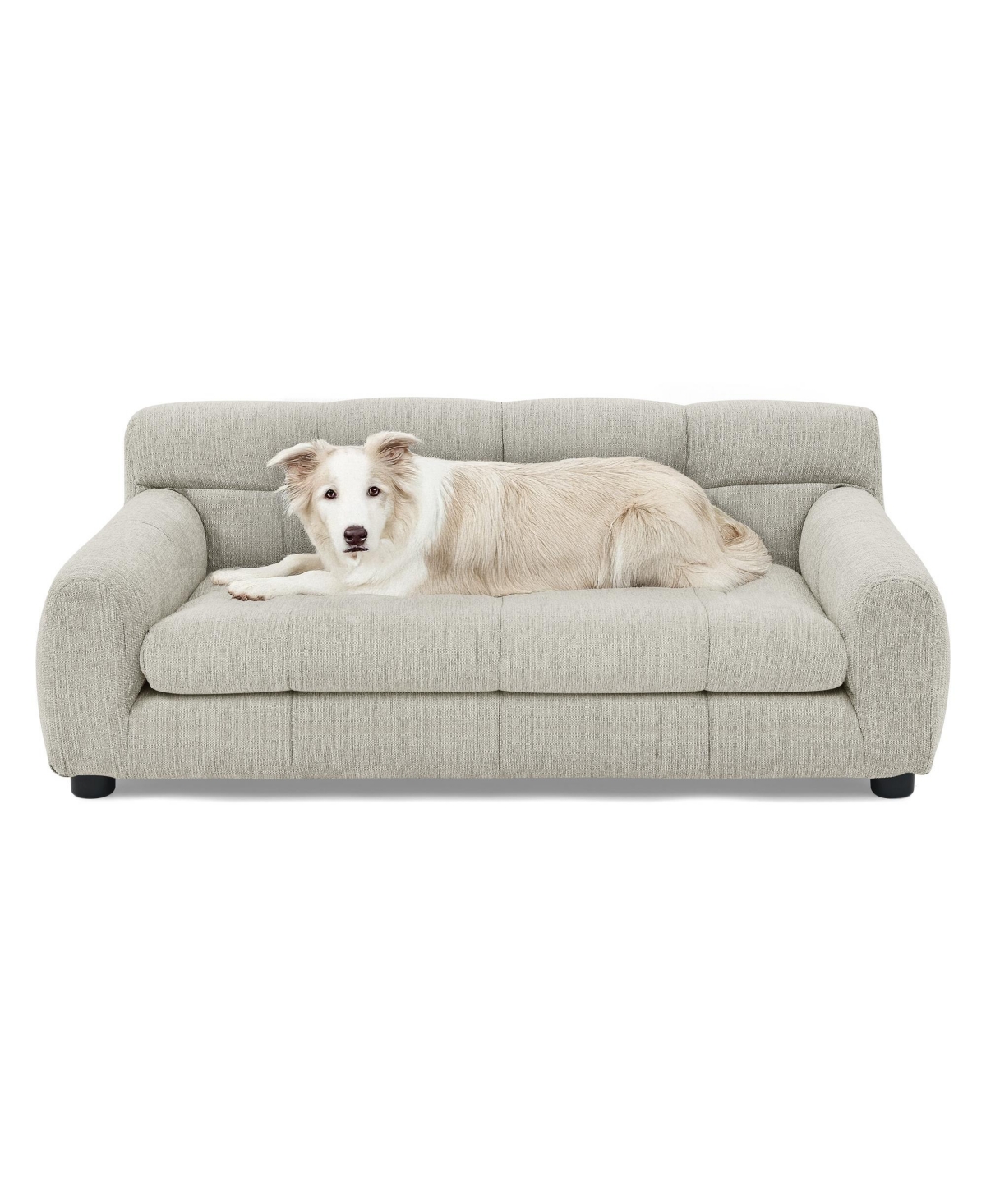 Click here for Zeny Bark Stylish Mid-Century Pet Couch for Large... prices