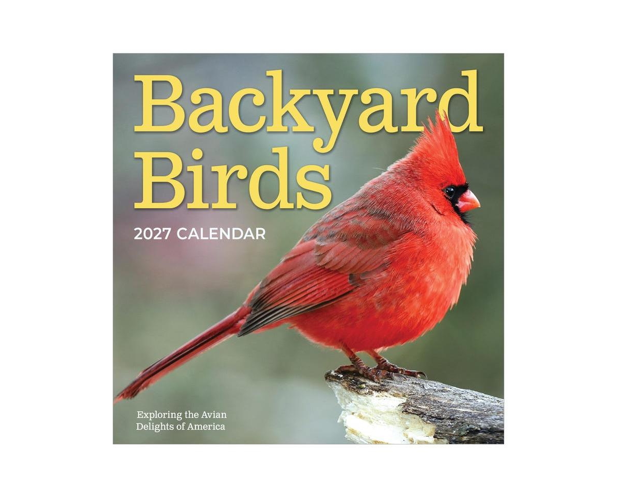 Click here for Tf Publishing Paper Goods 2027 Backyard Birds Wall... prices