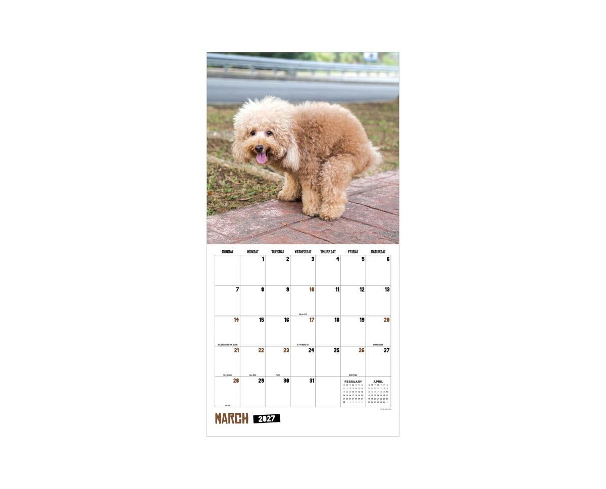 Click here for Tf Publishing Paper Goods 2027 Pooping Dogs Wall C... prices