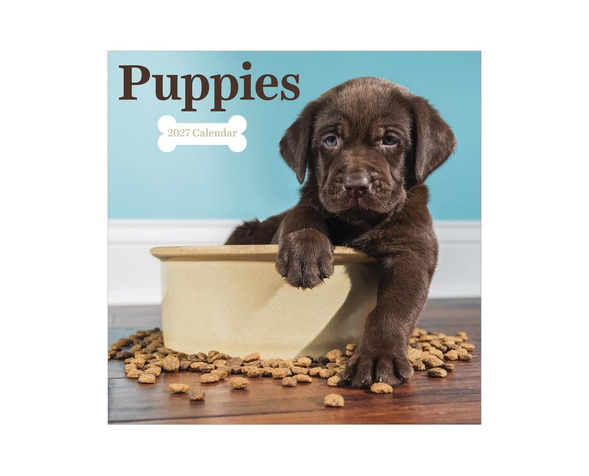 Click here for Tf Publishing Paper Goods 2027 Puppies Wall Calend... prices