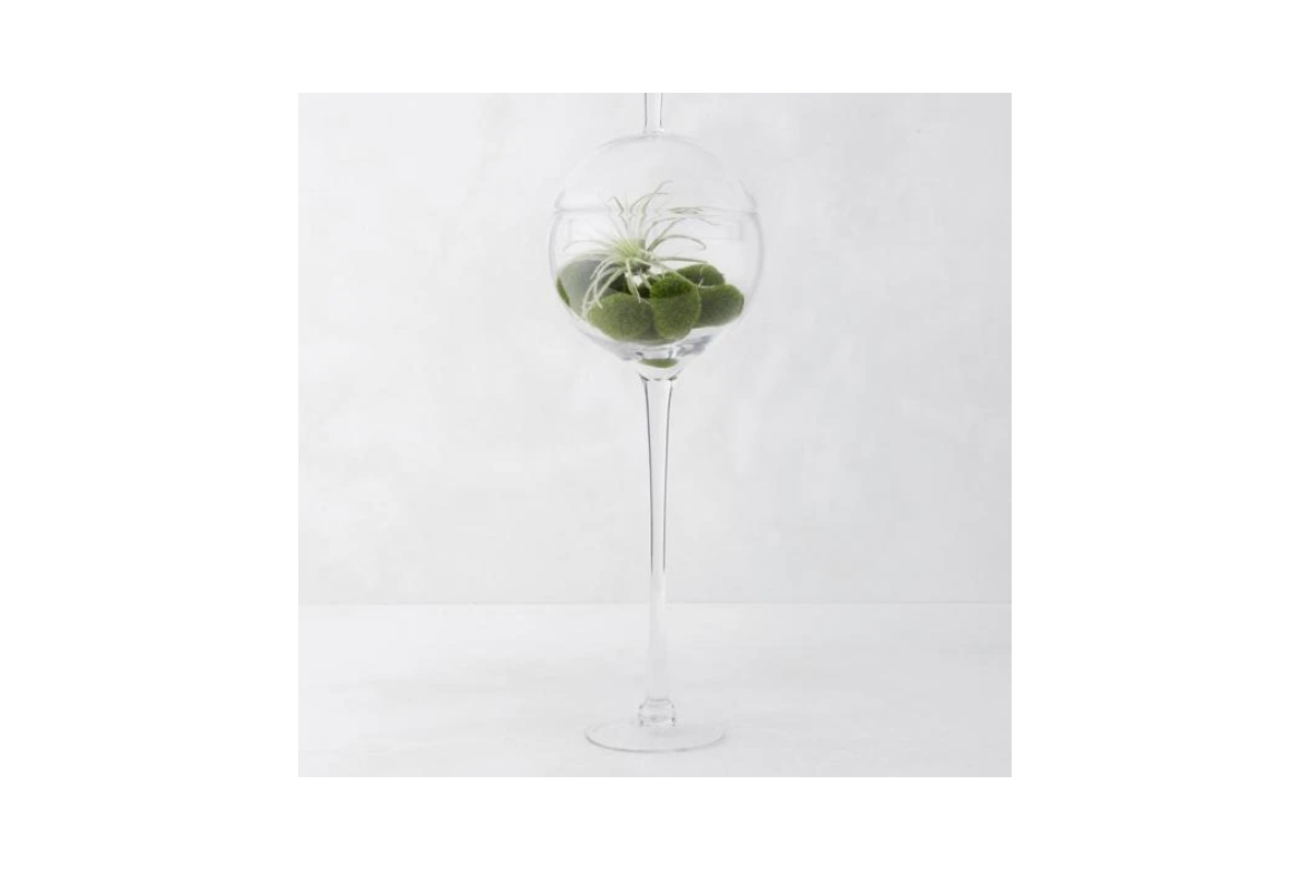 Click here for Z Gallerie Jules Canister - Clear prices