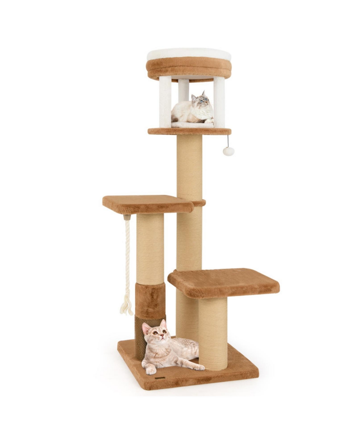 Click here for Hongge 65 Inch Cat Tree with Dual Padded Perches R... prices