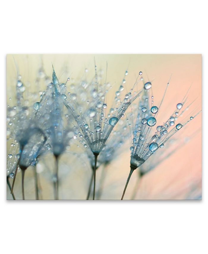 Artissimo Designs Summer Rain Printed Acrylic - Macy's