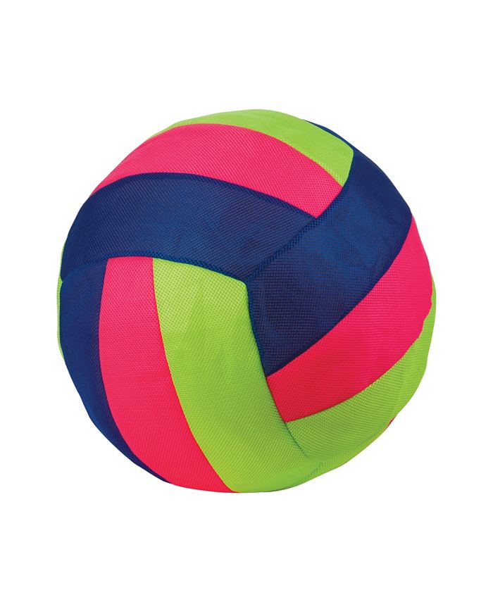Toysmith Volleyball Hav A Ball Assorted Colors & Reviews - All Toys ...