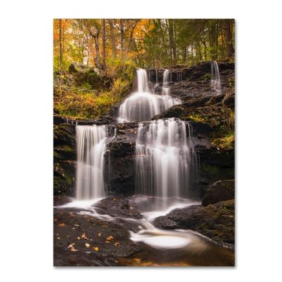 Michael Blanchette Photography 'Autumn Horsetails' Canvas Art - 24" x ...