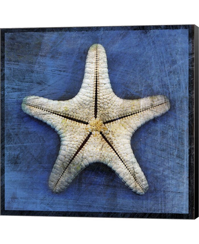 Metaverse Armored Starfish Underside by John W. Golden Canvas Art - Macy's