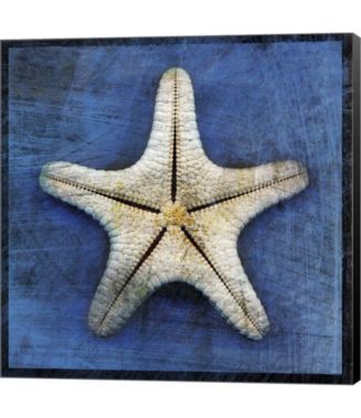 Armored Starfish Underside by John W. Golden Canvas Art - Macy's