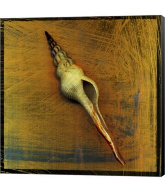 Metaverse Spiral Shell by John W. Golden Canvas Art - Macy's