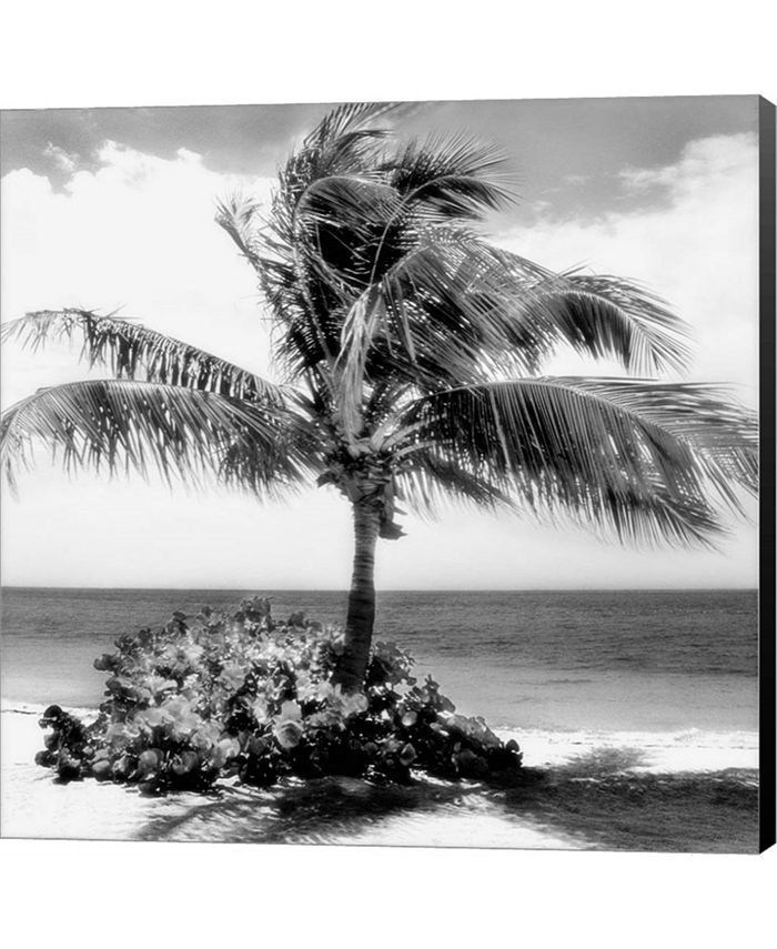 Metaverse Sand Bush And Tree by Harold Silverman Canvas Art - Macy's