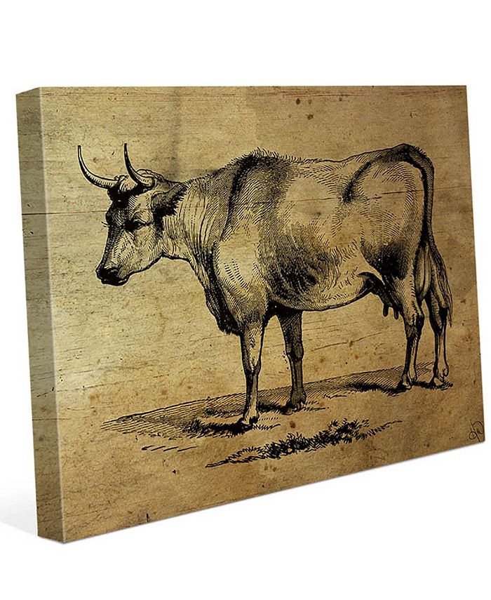 Creative Gallery Rustic Cowk Drawing On Wood Pattern 20" X 24" Canvas ...