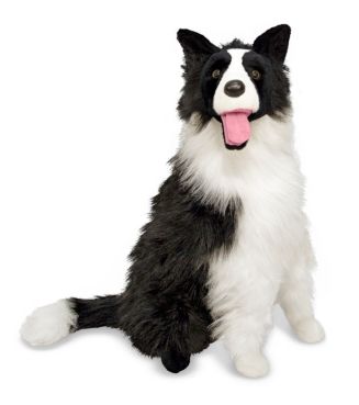 Border Collie - Plush - Macy's