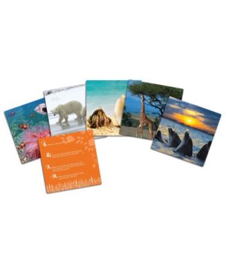 Learning Resources Wild About Animals Critical Thinking Photo Cards ...