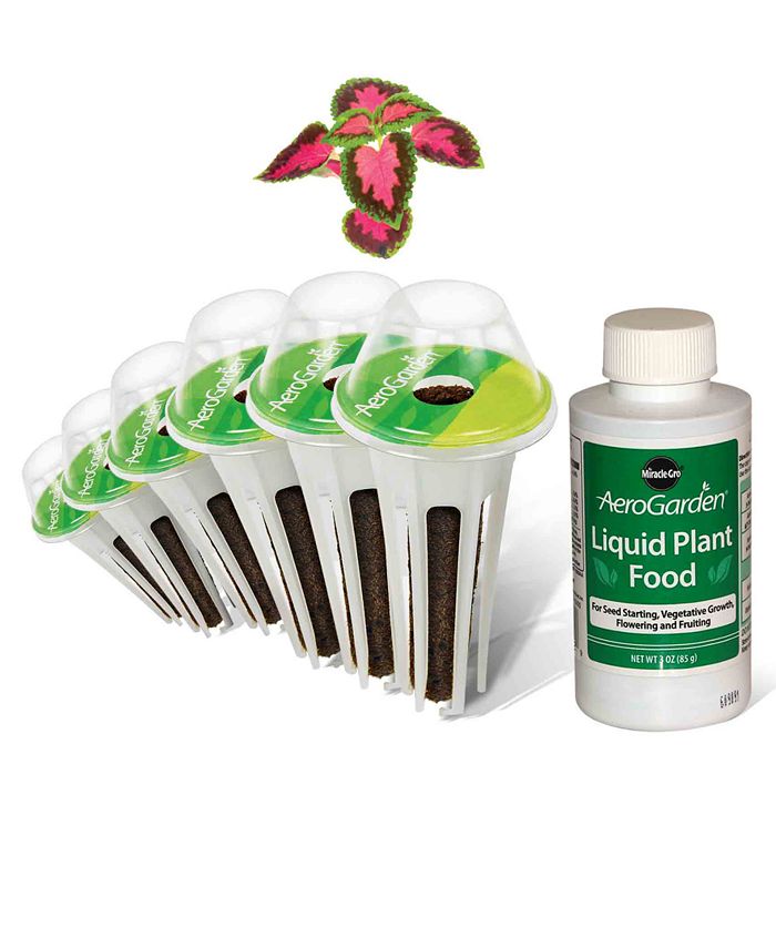 Macy's AeroGarden Colorful Coleus 6-Pod Seed Kit - Macy's