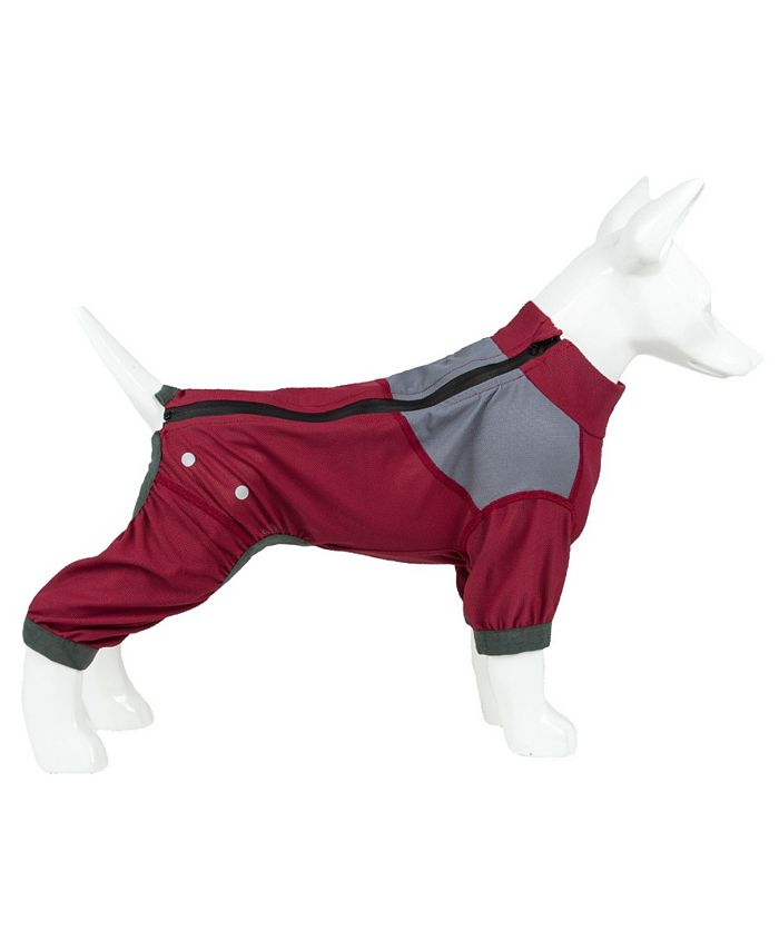 Dog Helios 'Tail Runner' Lightweight Full Body Performance Dog Track ...